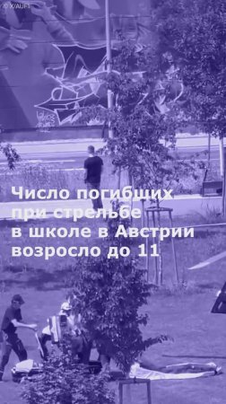 Число погибших при стрельбе в школе в Австрии возросло до 11