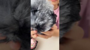 Распаковываем Лабубу