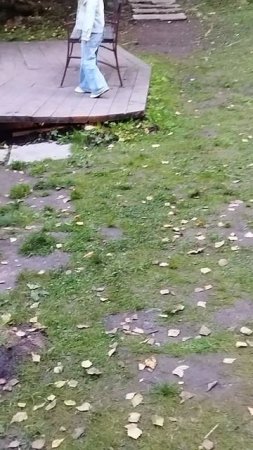 Ботанический сад