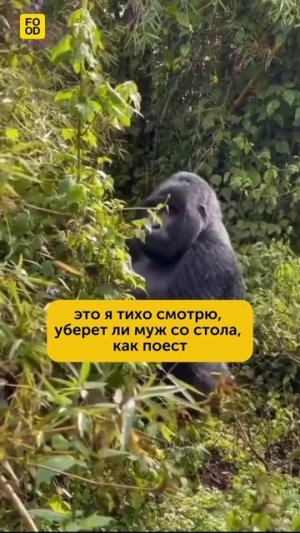 Знакомо, девочки? #foodru #рецепты #юмор
