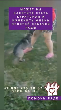 вы можете помочь Раде, пожалуйста