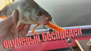 НЕОЖИДАННЫЕ АТАКИ! ЛЕТНЯЯ РЫБАЛКА НА ОКУНЯ С ЛОДКИ