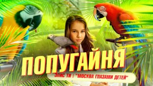 МОСКВА ГЛАЗАМИ ДЕТЕЙ | ПОПУГАЙНЯ | АЛИСА ТУХБАТОВА