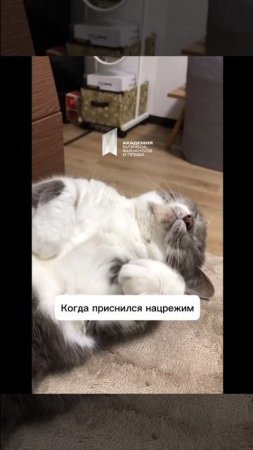 Ух, и приснится же такое! 😱