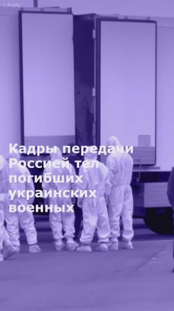 Кадры передачи Россией тел погибших украинских военных