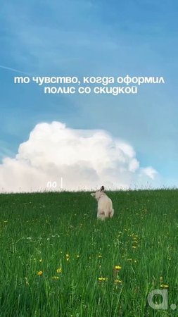 Лето в разгаре — самое время путешествовать 🩵