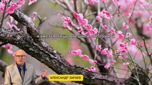 АЛЕКСАНДР ЗАРАЕВ БЬЁТ ТРЕВОГУ! ЗАЧИСТКА ЗЕМЛИ 25 АПРЕЛ?
