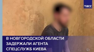 В Новгородской области задержали агента спецслужб Киева