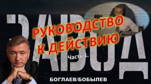 Боглаев/Бобылев: Как убить экономический субъект. Подробная инструкция.