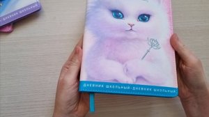 Дневник школьный, формат А5+, 48л., твёрдый переплёт с поролоном, искусственная кожа "Наппа", 68668
