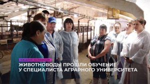 Животноводы прошли обучение у специалиста Аграрного университета