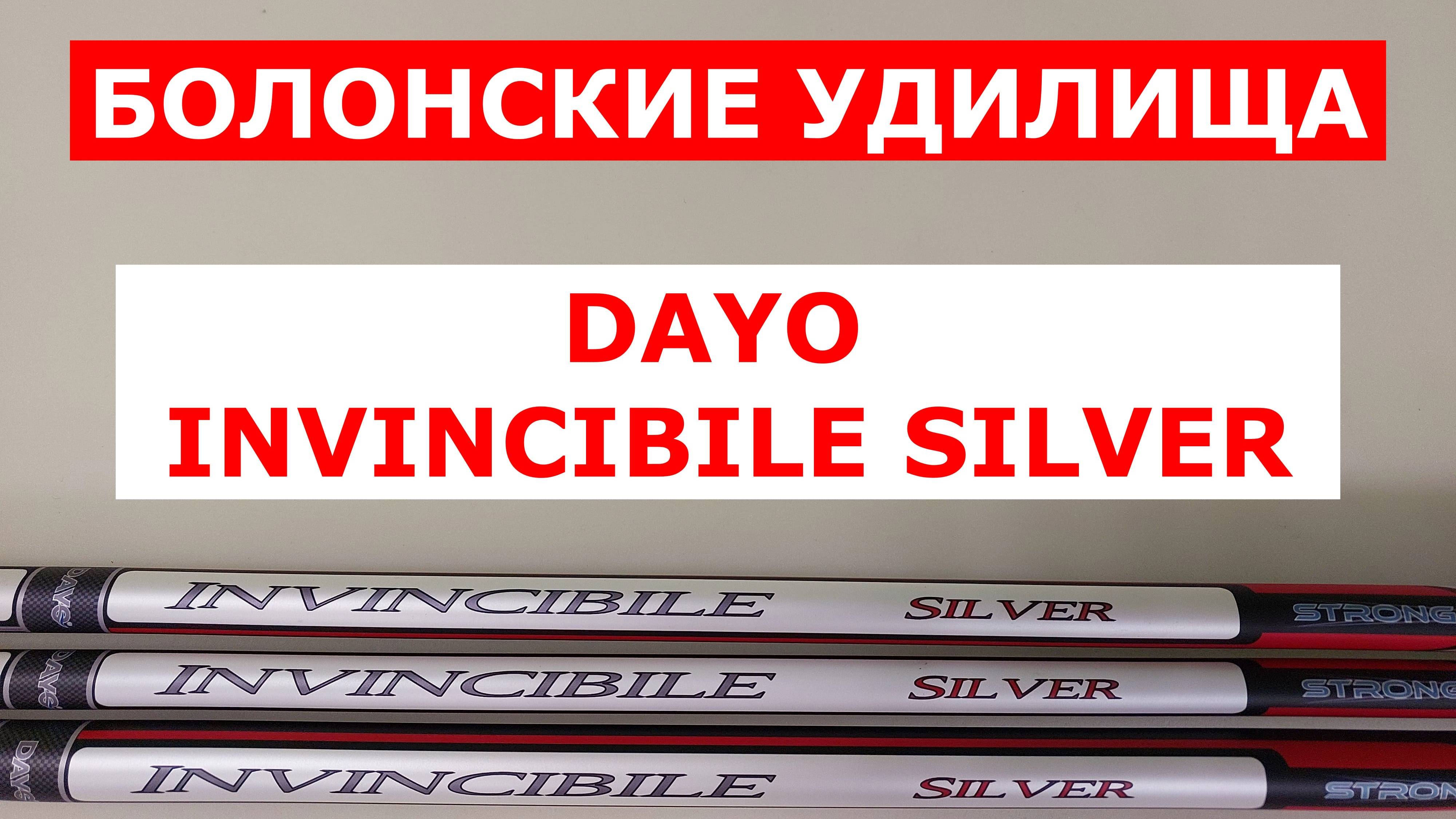DAYO INVINCIBILE SILVER - ОБЗОР БОЛОНСКИХ УДИЛИЩ |СИЛОВЫЕ БЮДЖЕТНЫЕ УДИЛИЩА | СТРОЙ И НАДЕЖНОСТЬ