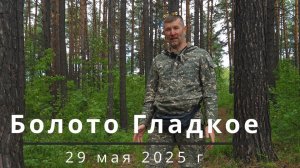 Шлюзовской лесоболотный комплекс, Болото Гладкое, 29 мая 2025 г.