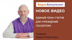 Единый план счетов для учреждений госсектора | Смотрите семинар на Видео.Консультант