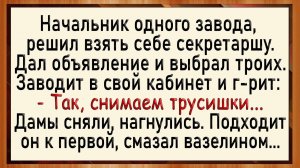 😂Как начальник выбирал секретаршу! Сборник свежих анекдотов! Юмор