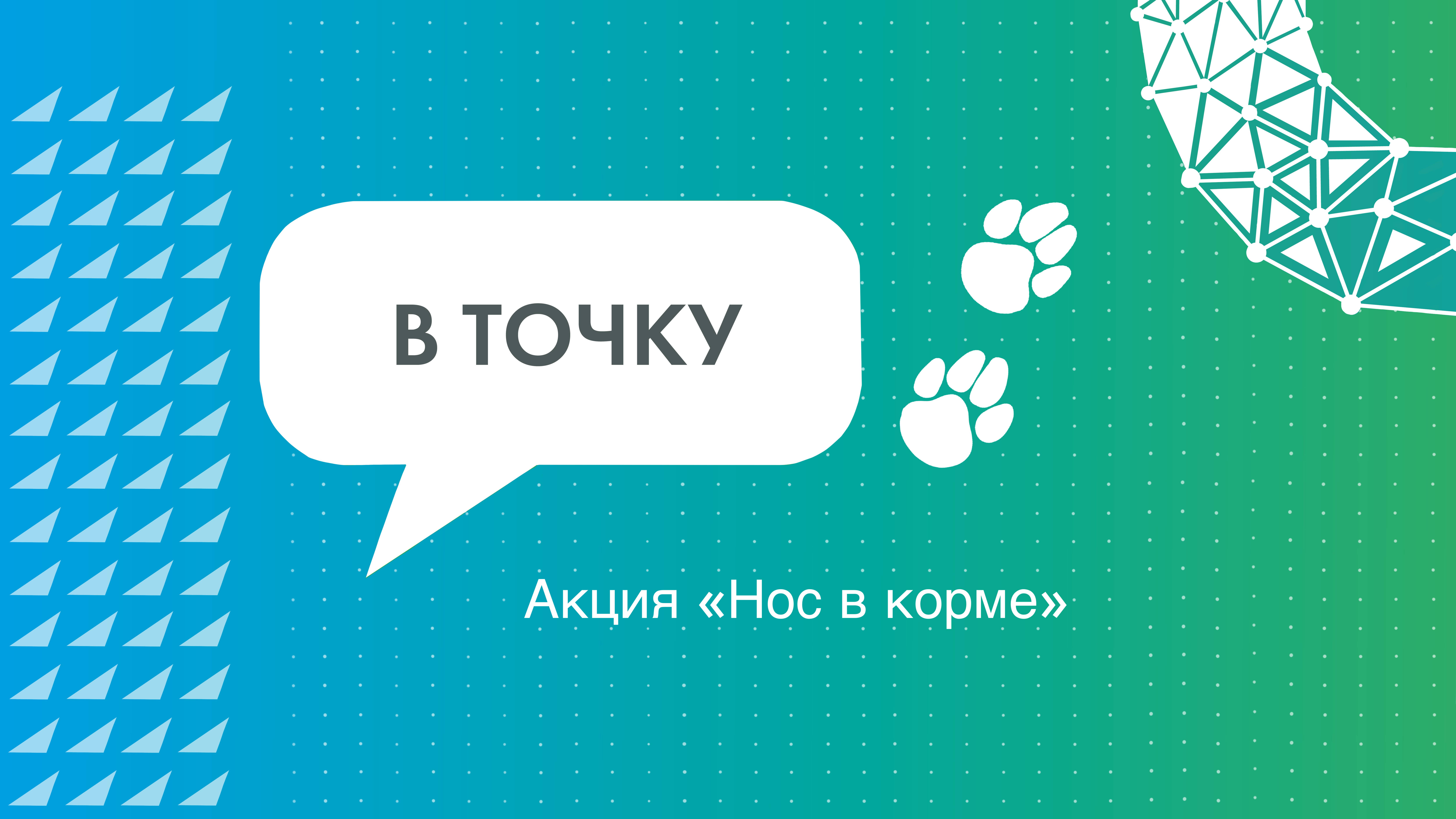 Волонтеры «Точки будущего» отвезли корм в приют для собак
