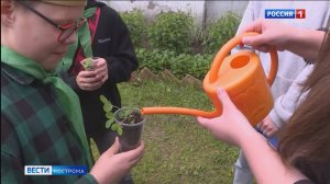 Школьники в Костроме учились сортировать мусор и высаживать цветы