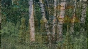 Родина — как Я, или Россия: от инея до пламени
