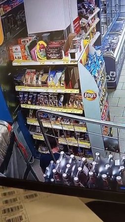 Сладкий воришка в Солнцево
