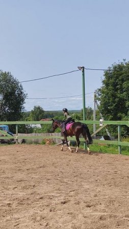 Аврелия и Флейта, рысь в полевой посадке на плацу.
