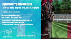 Прямая трансляция 12 Июня 2025 - 13 день испытаний лошадей