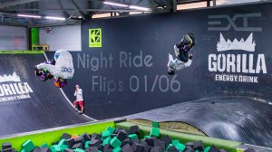 FLIPS NR 01.06