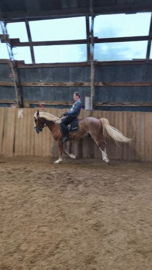 Алексей и Каспер, просили прибавленный галоп, налево.