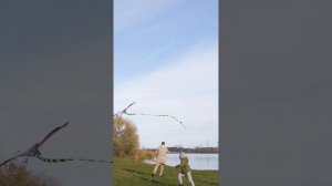 С Днём России