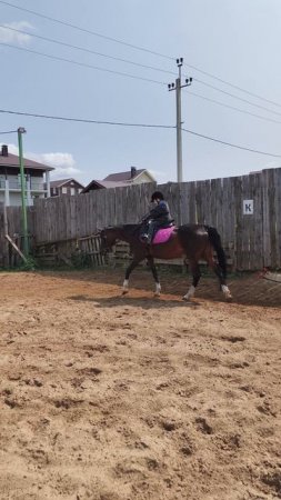 Артем и Флейта, рысь на плацу.