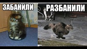 Как это не забанили!? Стрим геометри даш