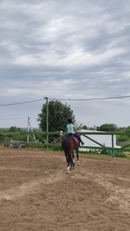 Соня и Флейта, учебная рысь на плацу.