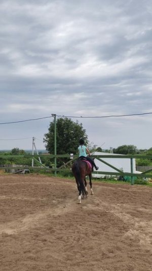 Соня и Флейта, учебная рысь на плацу.