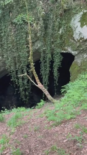 Воронцовские пещеры Сочи