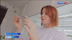 Костромские студенты открыли секрет безотходного производства