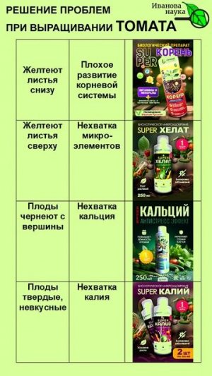ПАМЯТКА ПО УХОДУ ЗА ТОМАТОМ. Проблемы и их решение. Часть 1.