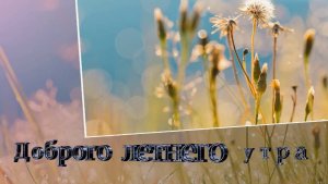 Доброго летнего утра. Пожелания доброго утра
