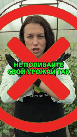 Не поливайте свой урожай так