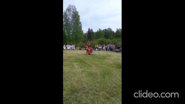 Яблоневый цвет