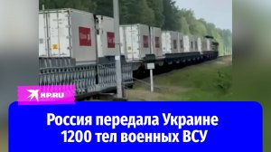 Россия передала украинской стороне 1200 тел погибших военных ВСУ