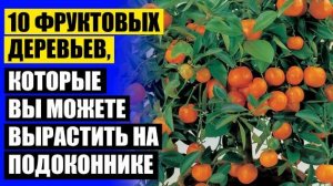ДЕКОРАТИВНЫЕ ДЕРЕВЬЯ ДЛЯ ДОМА В ГОРШКАХ ЖИВЫЕ 💯 МИНИ ДЕРЕВЬЯ В ГОРШКАХ НАЗВАНИЕ ☑