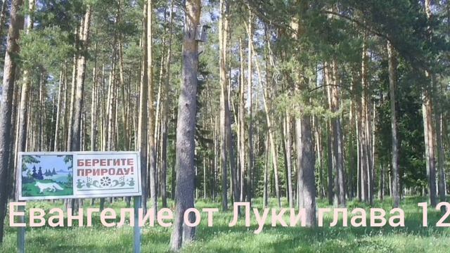 Библия Евангелие от Луки глава 12