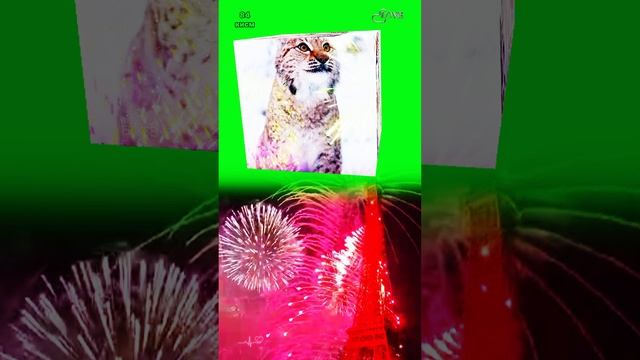 Жигарлар ака ука🫂