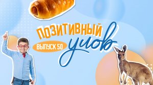 Акулы с неба и ручная каракатица. "Позитивный улов"