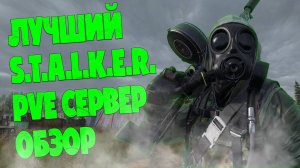DAYZ - ОБЗОР PVE СЕРВЕРА В 2025