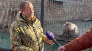 Олег Зубков отвечает на вопрос МОЖЕТ ЛИ этот гамадрил из подтопленного зоопарка