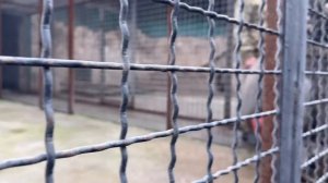 Мы с Владом ОДОБРИЛИ Люськиного МУЖА СРАЗУ, а вот Олег Зубков сомневается, ведь Люся у нас БАЛУВАНА