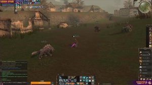 #Lineage2 | Чернокожая Крутилка | #SashaSpray