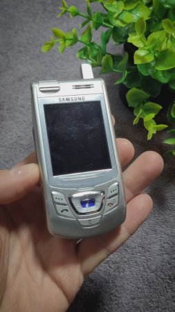 Samsung D410