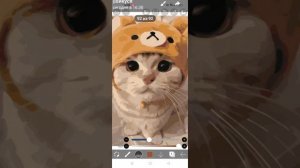 раскрашиваю котика в преложении