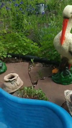 Журчащий релакс